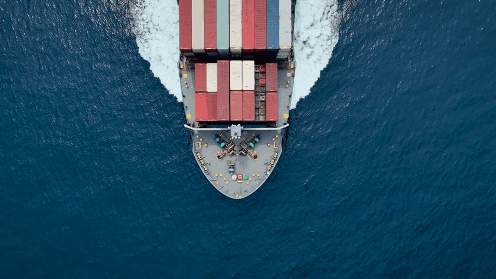 Pangaea Logistics Grows Its Fleet with New Ship Purchase - The Supply ...